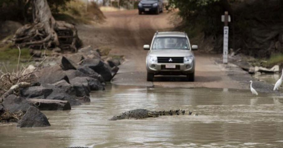 All you need to know about Cahills Crossing