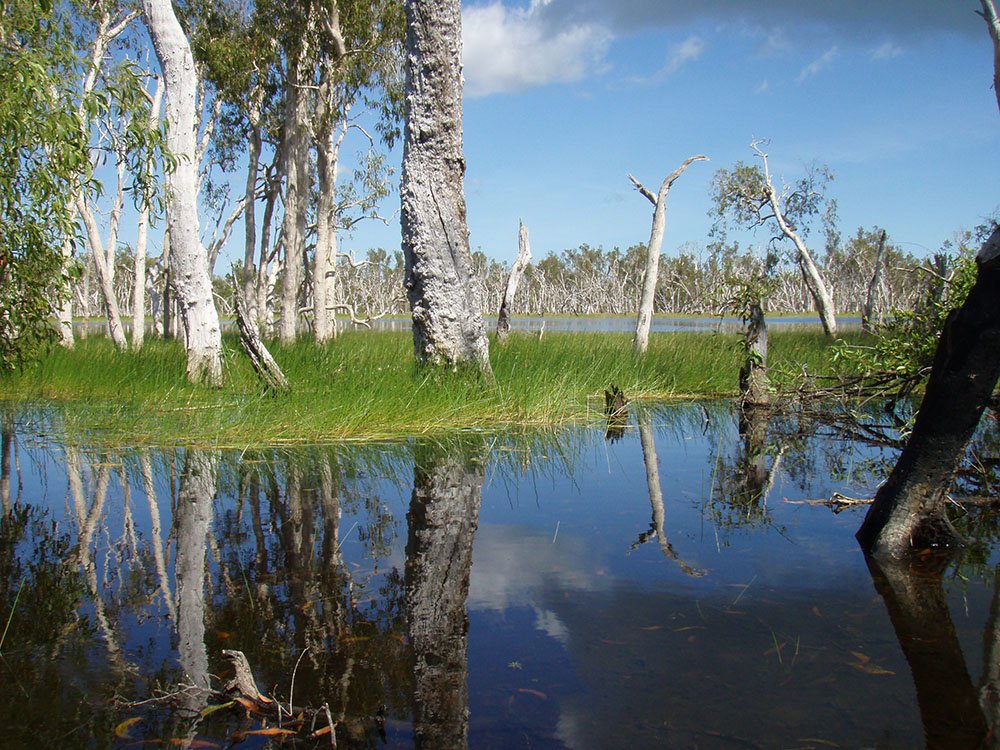 5 Day Kakadu, Arnhem Land and Cobourg Peninsula Tour